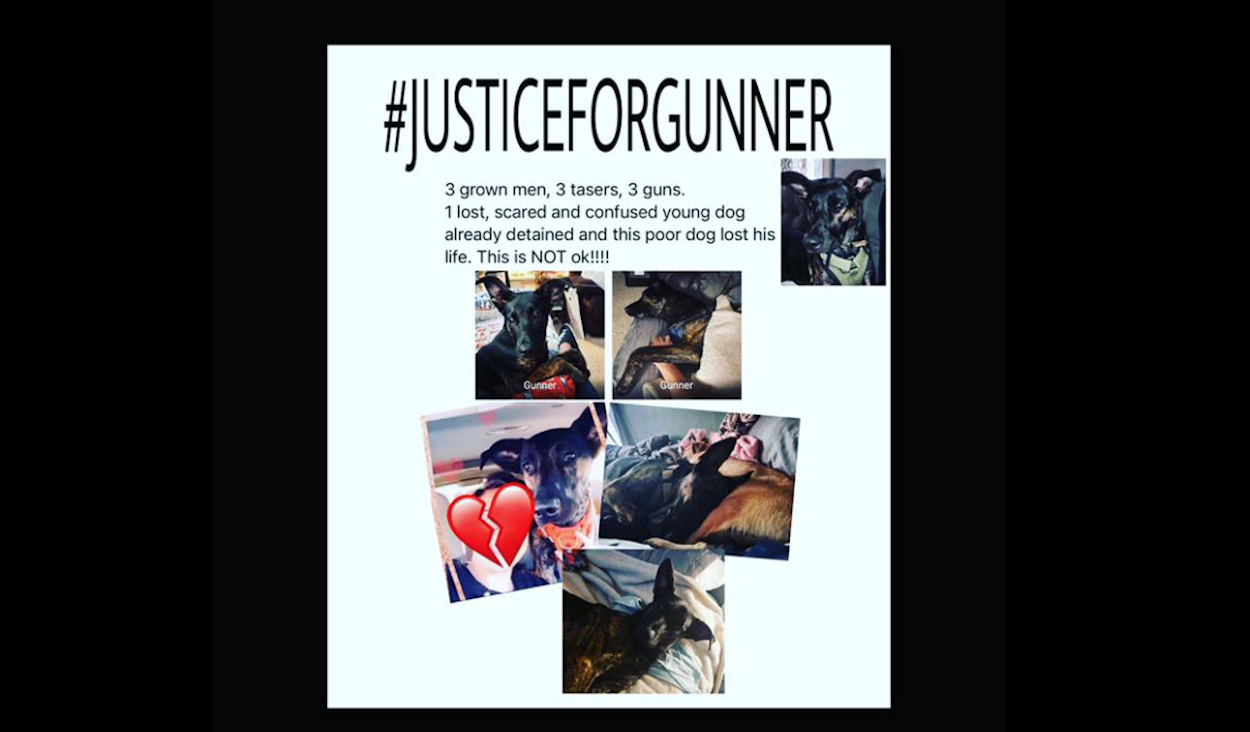 #JusticeForGunner protest planned Wednesday evening outside police HQ ...
