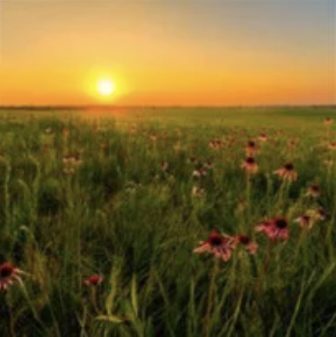 Merle R. Ruth (1927-2022) - LebTown