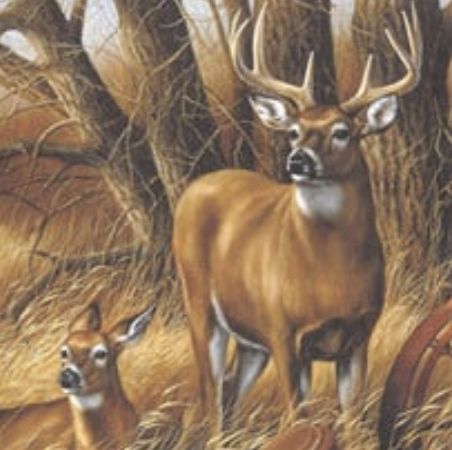 John C. Mohn (1935-2022) - LebTown