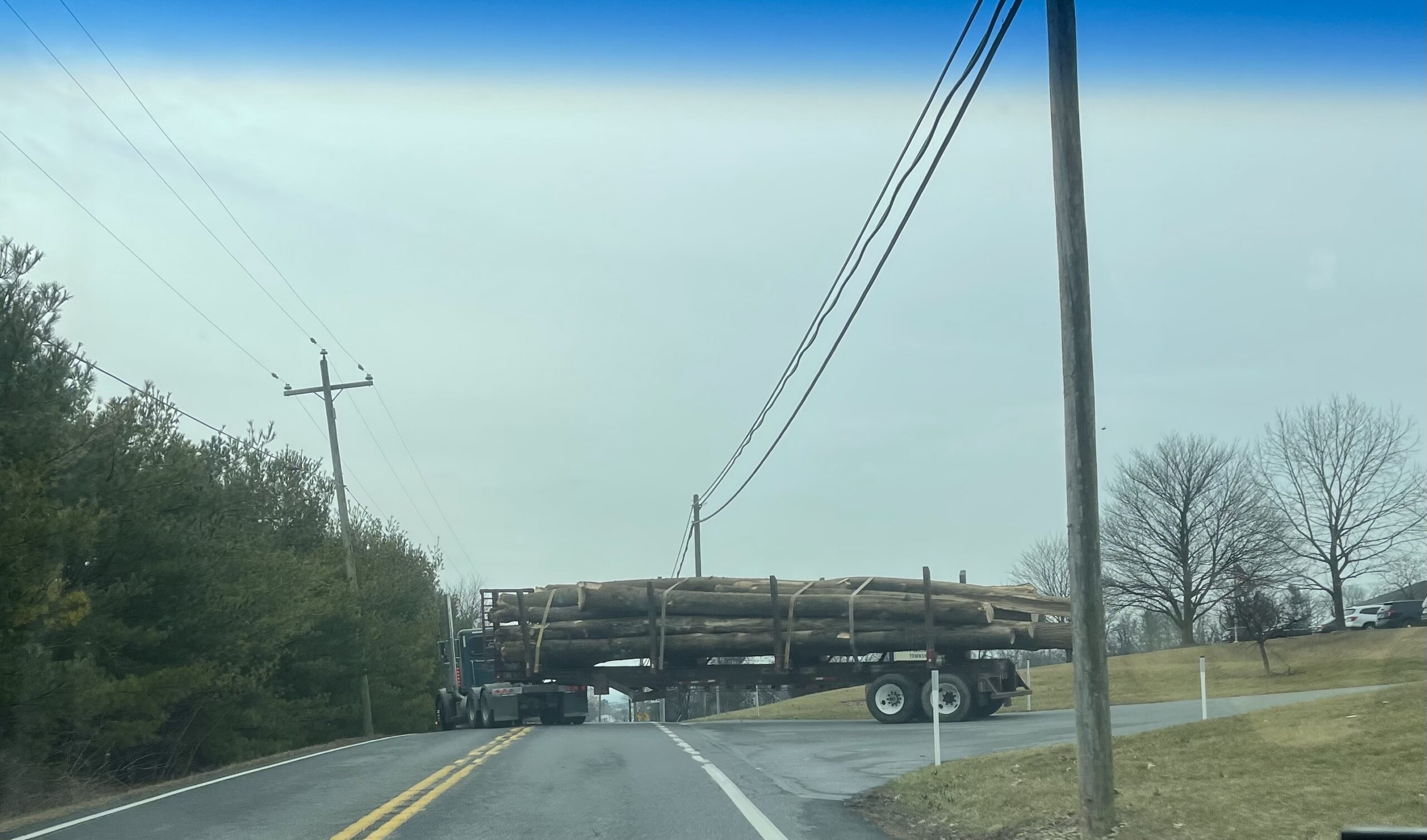 North Londonderry Twp. takes out 200+ trees from park to improve forest ...