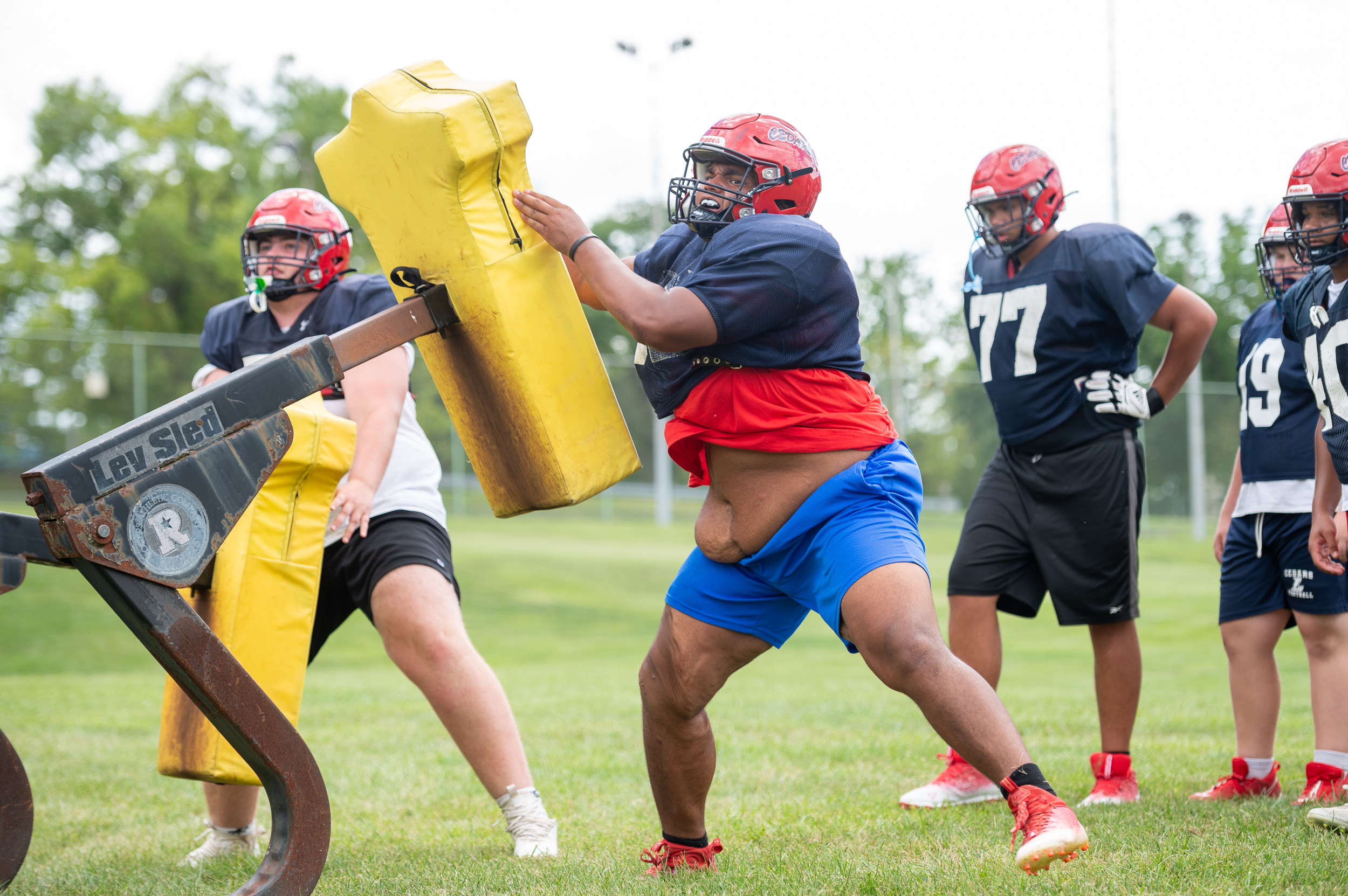 Lebanon Cedars seek turnaround: Unity and new strategies amidst winless ...