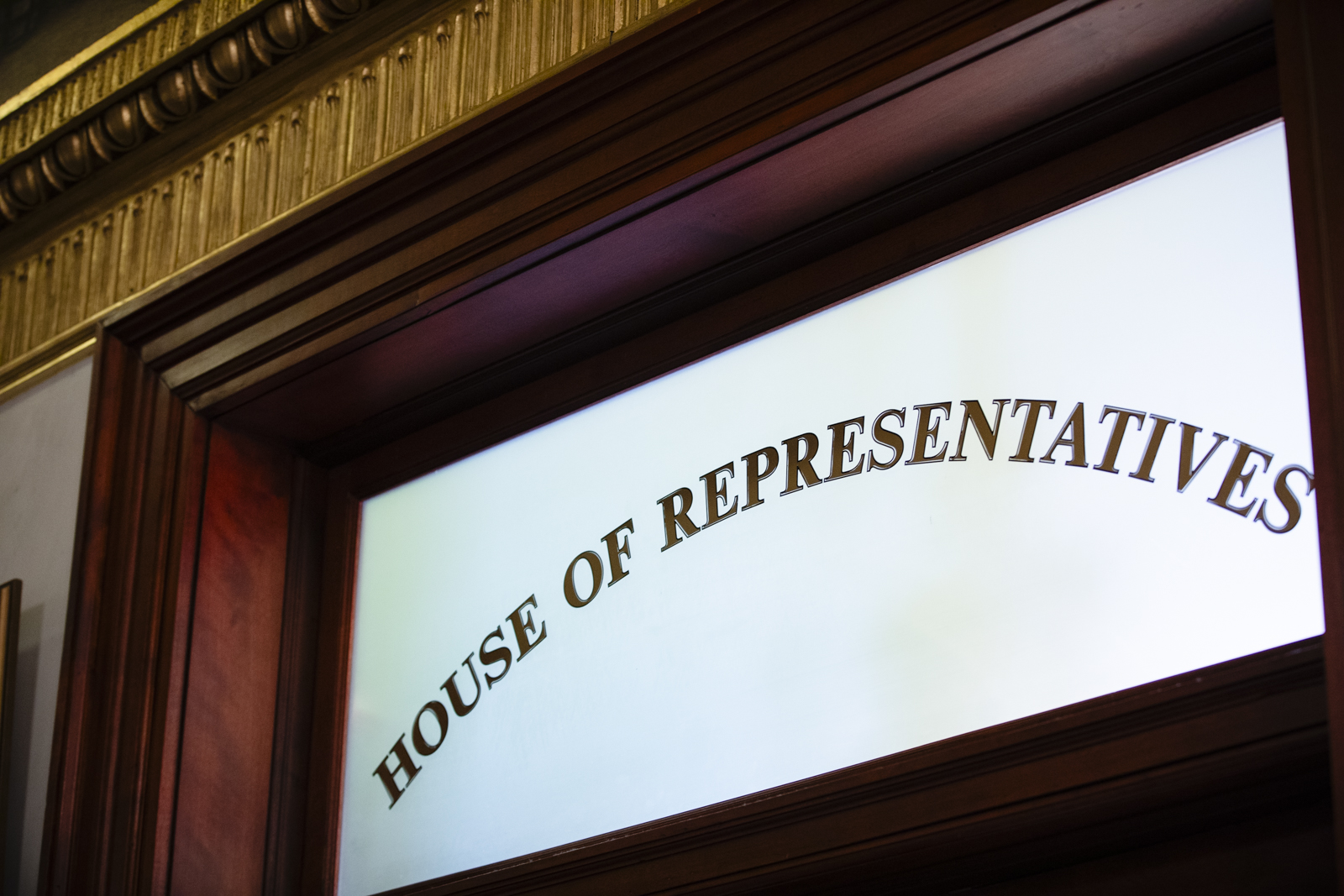 House Of Representatives Symbol