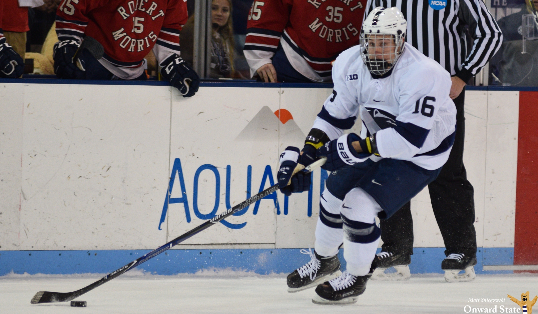 Andrew Sturtz Signs Pro Contract With Ottawa Senators | Onward State